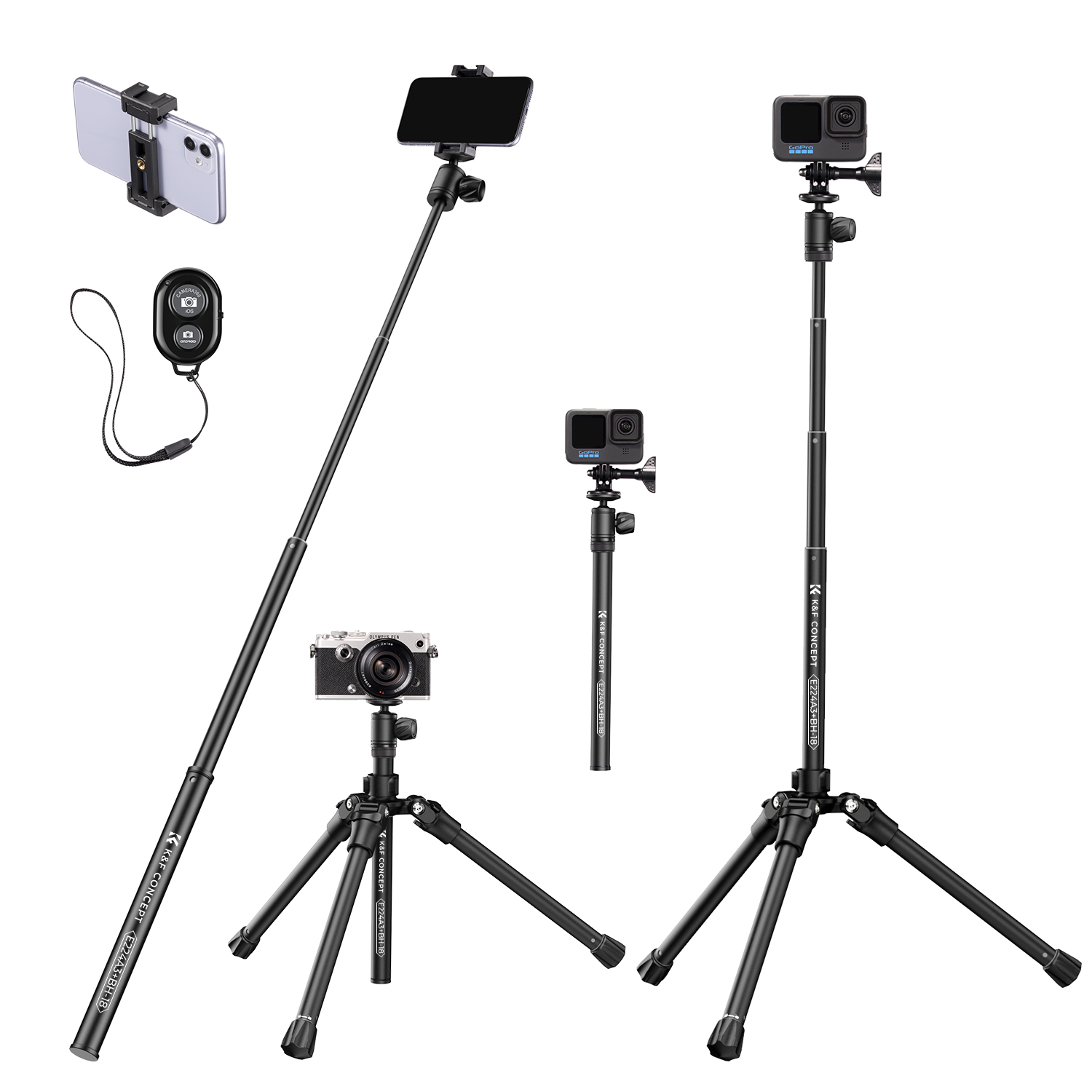 How Much Can Light Microscopes Magnify