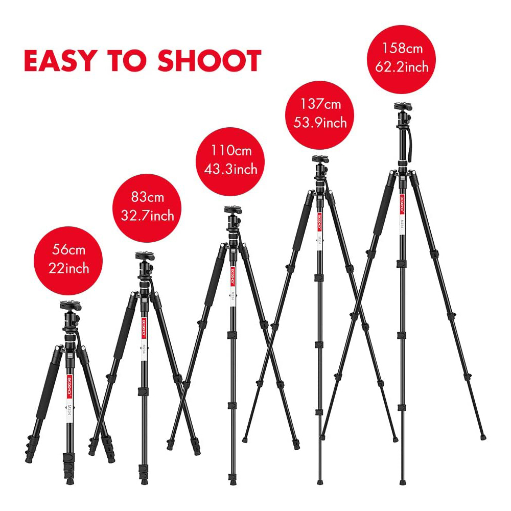 How Do Digital Cameras Capture An Image?