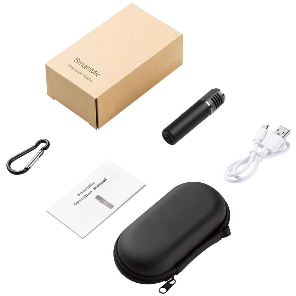 How To Use Mini Microphone On Iphone?