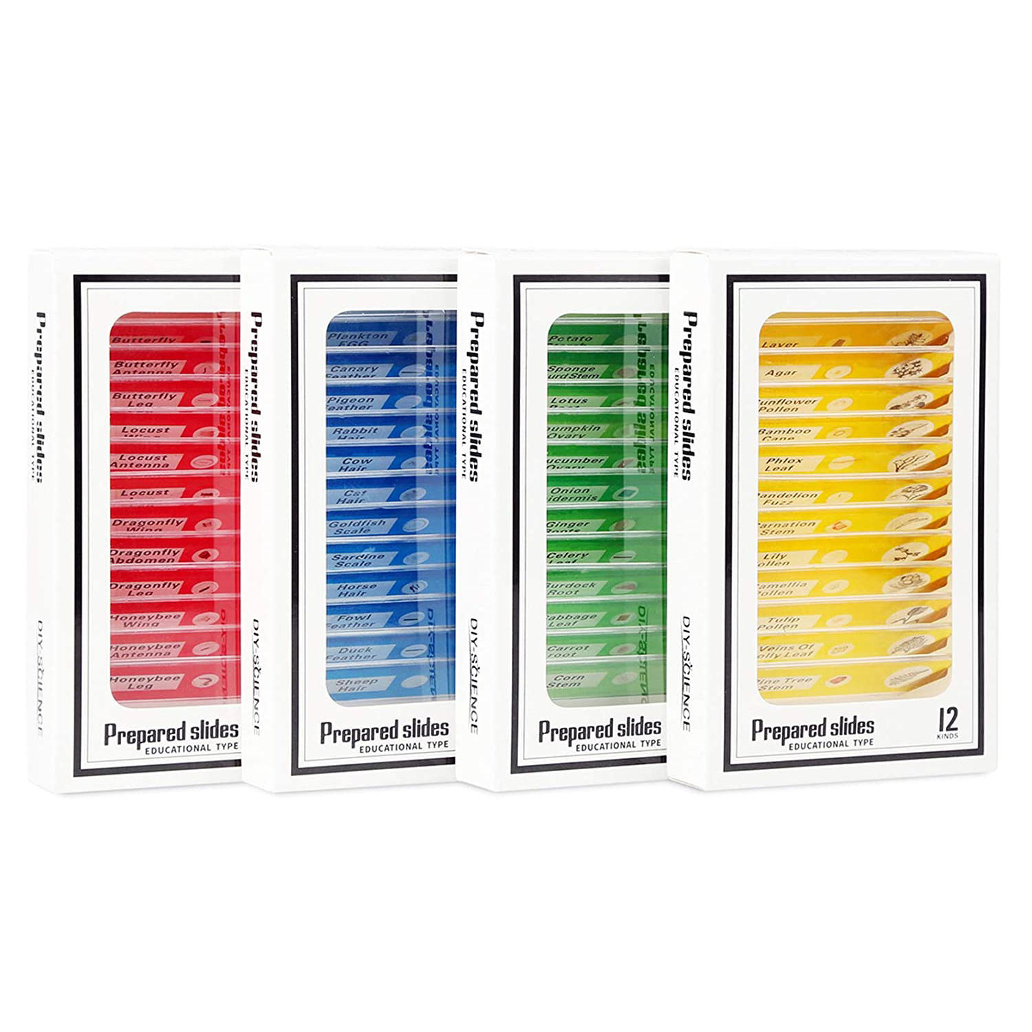 What Are Microscope Slides Used For?